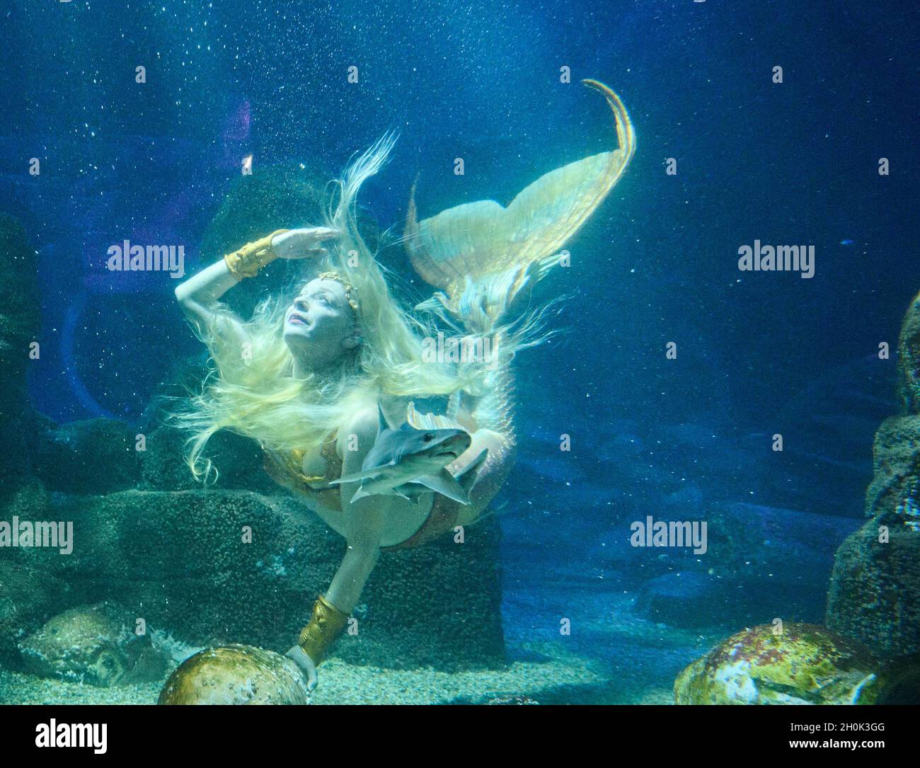 Berlin, Deutschland. Oktober 2021. Mermaid-Schauspielerin Daniela ...