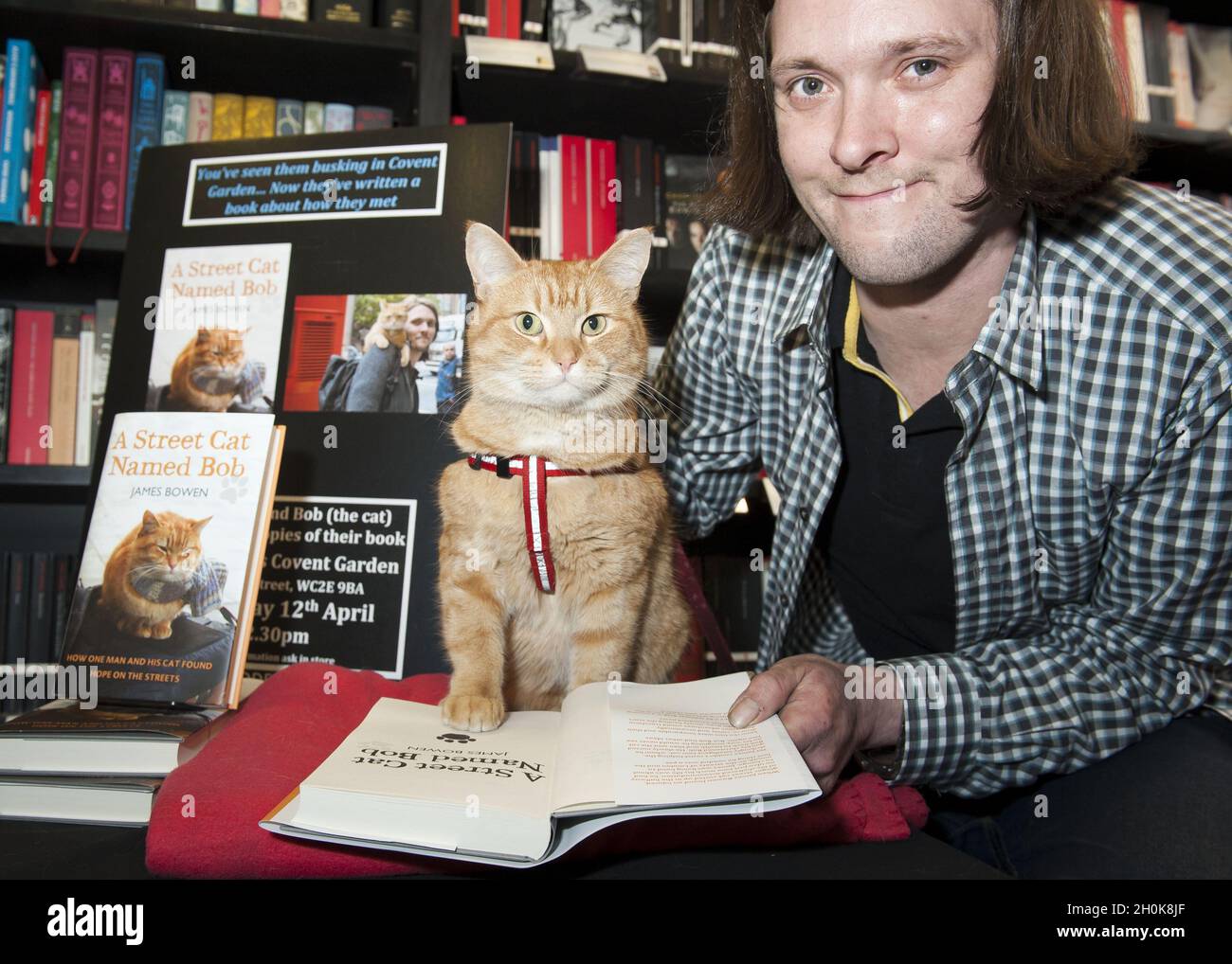 James bowen and bob the cat -Fotos und -Bildmaterial in hoher Auflösung ...