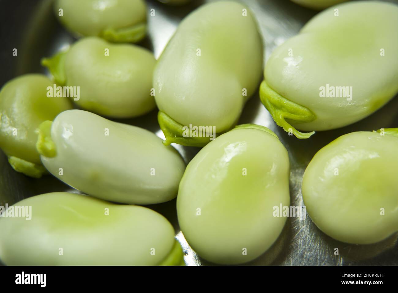 Fava bohnen hautnah -Fotos und -Bildmaterial in hoher Auflösung – Alamy