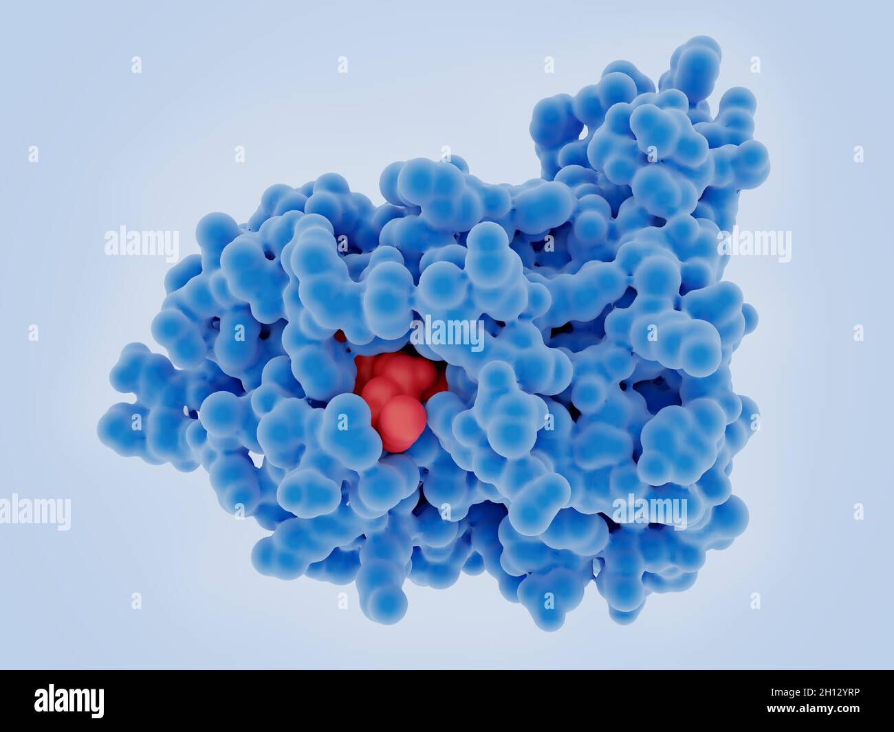 Enzym substrat -Fotos und -Bildmaterial in hoher Auflösung – Alamy