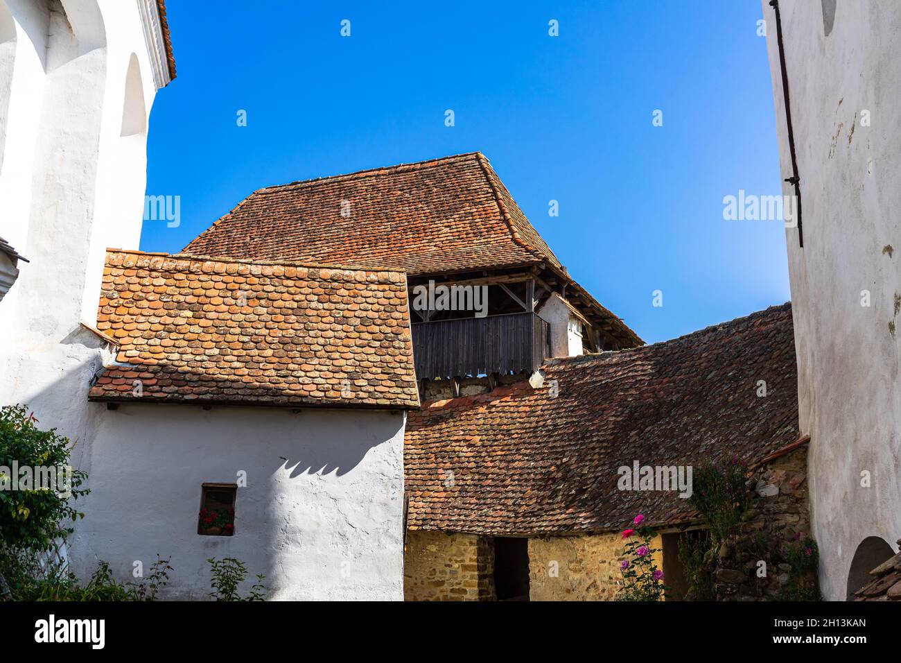 BUCHARE, RUMÄNIEN - 01. Sep 2021: Eine Nahaufnahme der ...