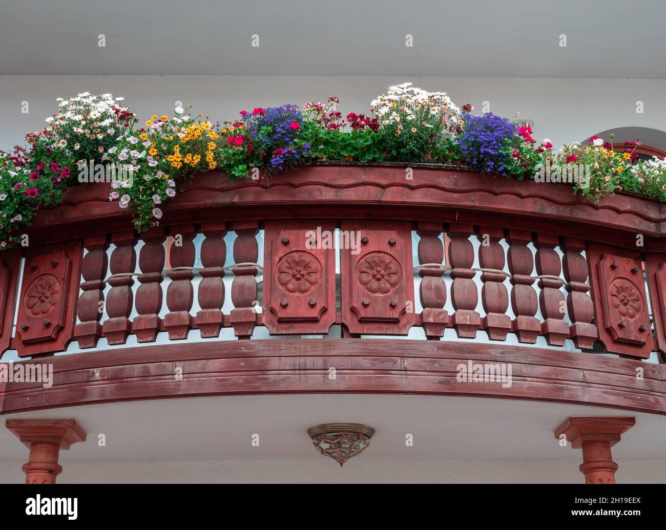 Engadin blumen -Fotos und -Bildmaterial in hoher Auflösung – Alamy