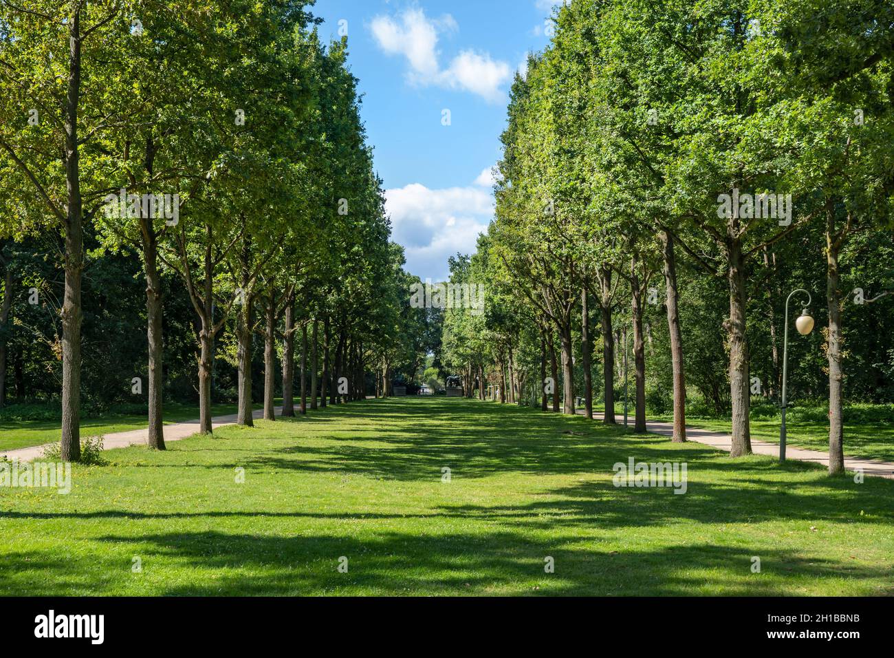 Berliner Tiergarten Rasen Erfahrung