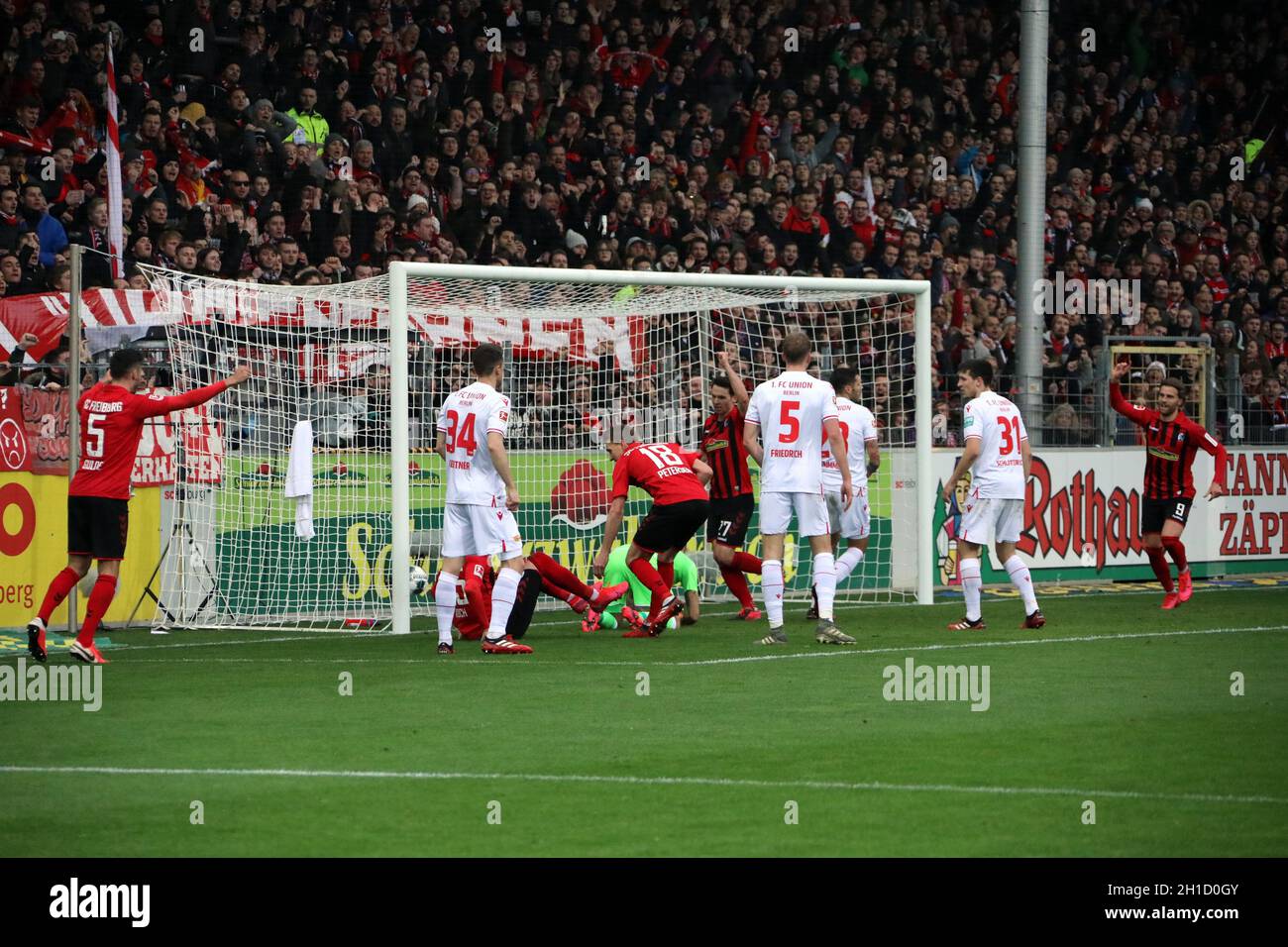 Robin koch 2019 -Fotos und -Bildmaterial in hoher Auflösung – Alamy