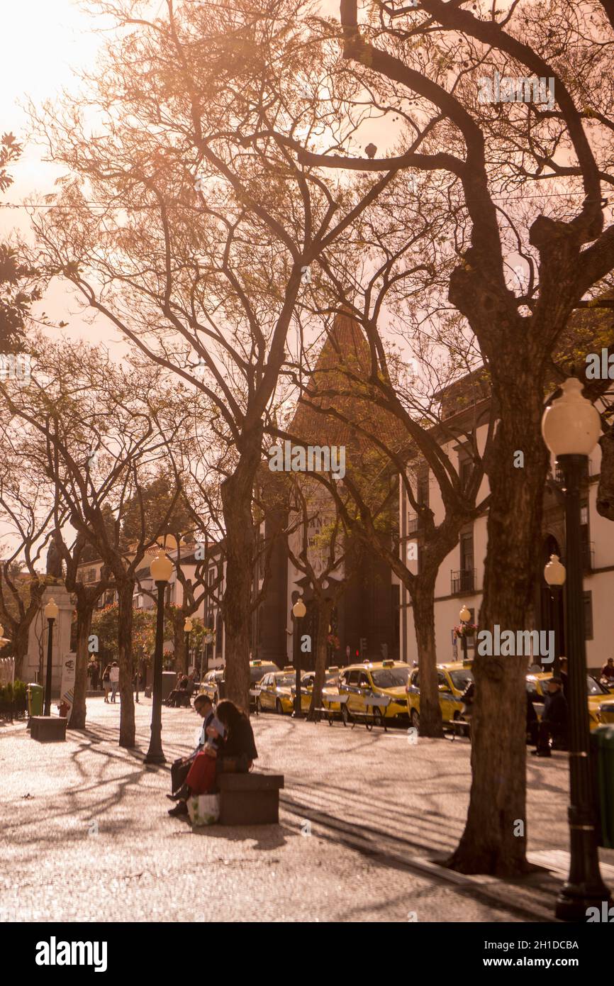 Avenida arriaga funchal -Fotos und -Bildmaterial in hoher Auflösung ...