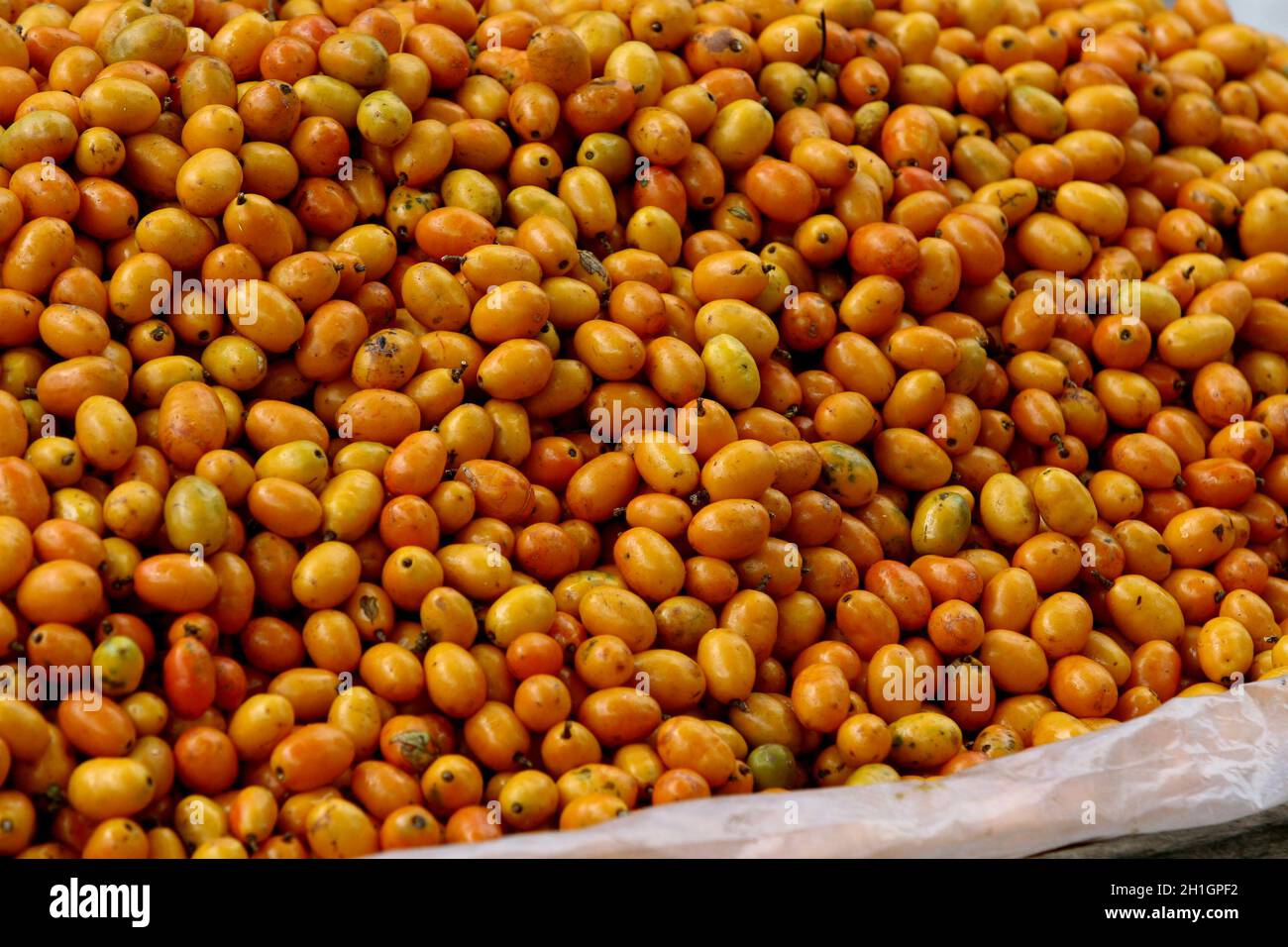 Caja fruit -Fotos und -Bildmaterial in hoher Auflösung – Alamy