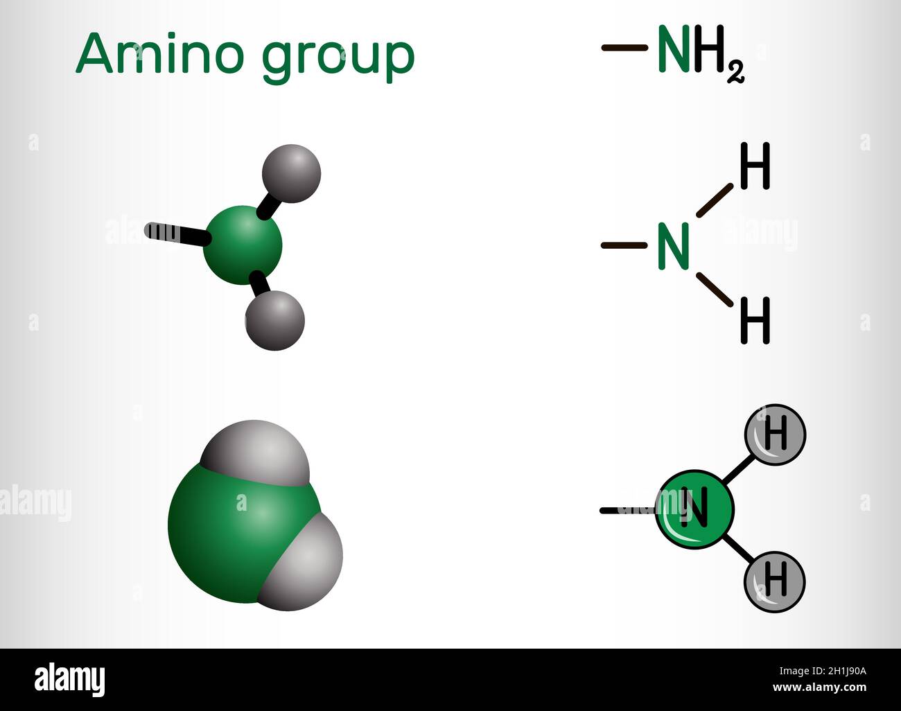 Aminogruppe, (primär, -NH2). Es ist eine funktionelle Gruppe, die aus ...