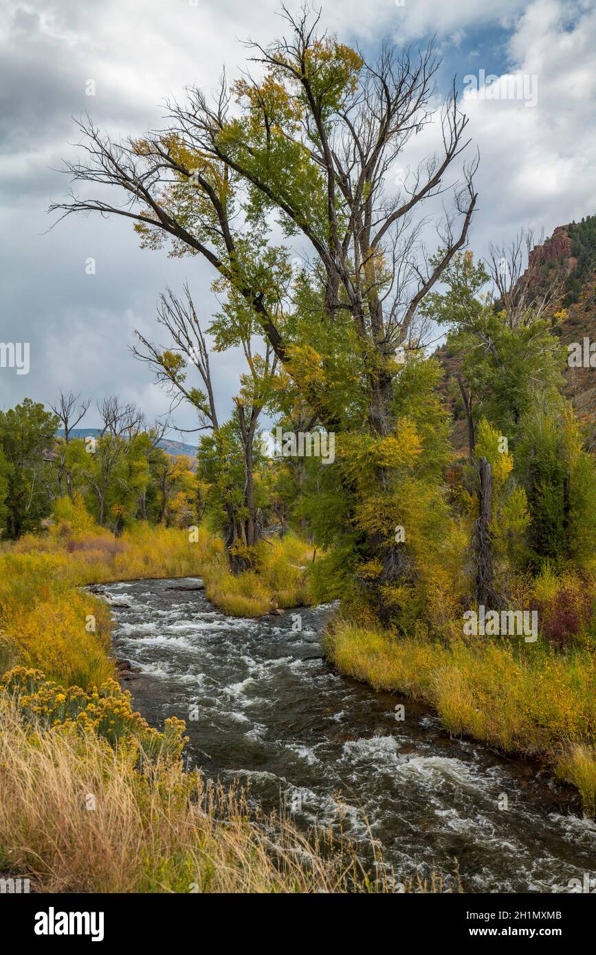 Basalt colorado -Fotos und -Bildmaterial in hoher Auflösung – Alamy