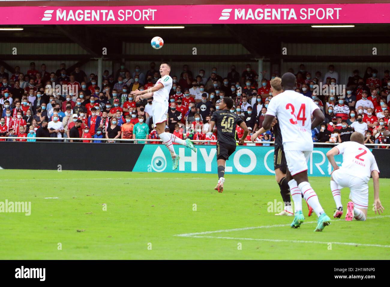 Tim lemperle -Fotos und -Bildmaterial in hoher Auflösung – Alamy