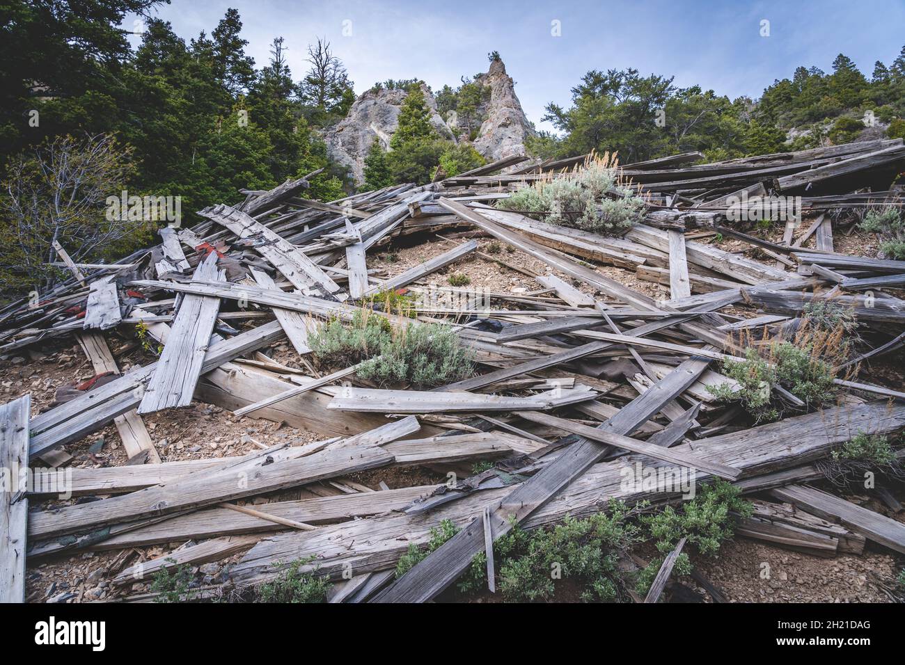 Jacob stadt -Fotos und -Bildmaterial in hoher Auflösung – Alamy