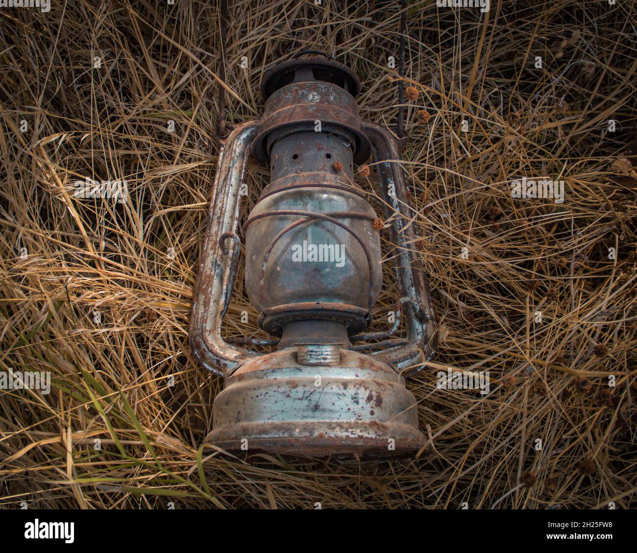 Die Petroleumlampe oder Paraffinlampe ist eine alte Gaslampe mitten im ...
