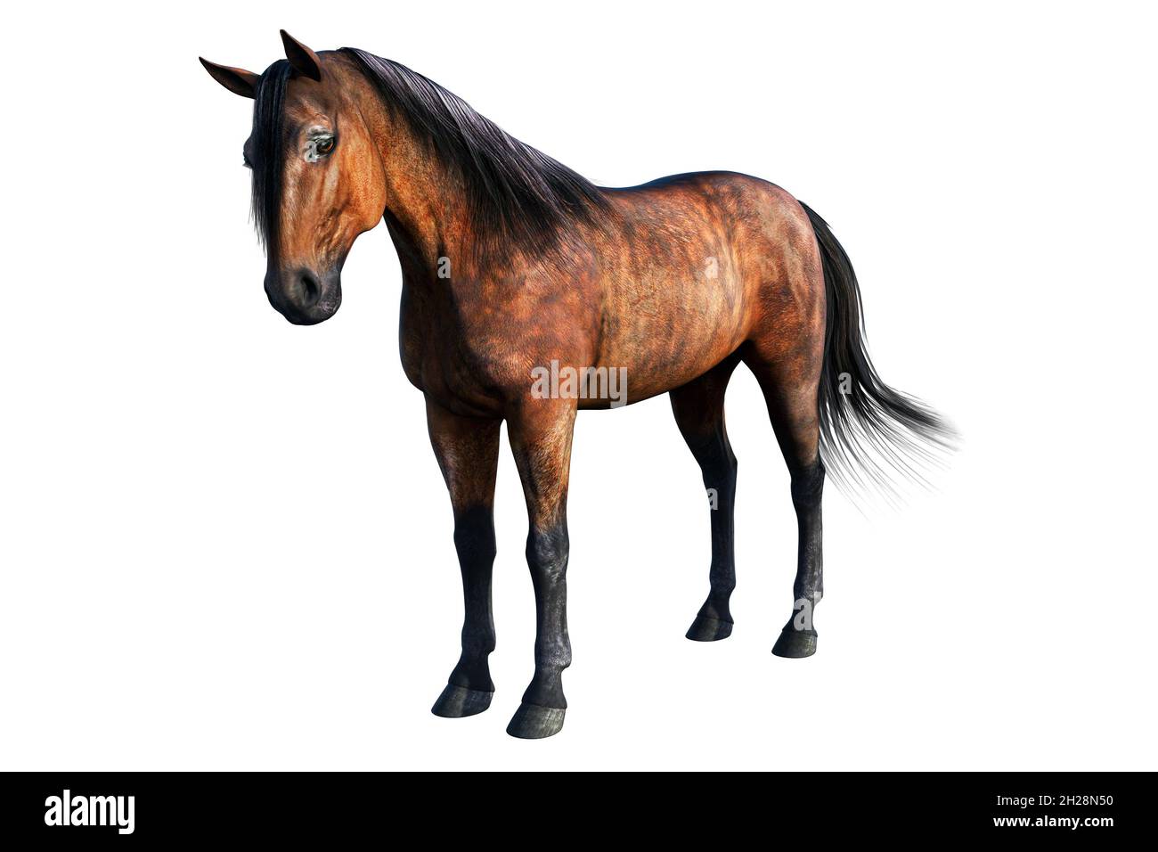 Pferd isoliert, braunes Pferd, Pferd, 3D-Illustration, Pferd 3D ...