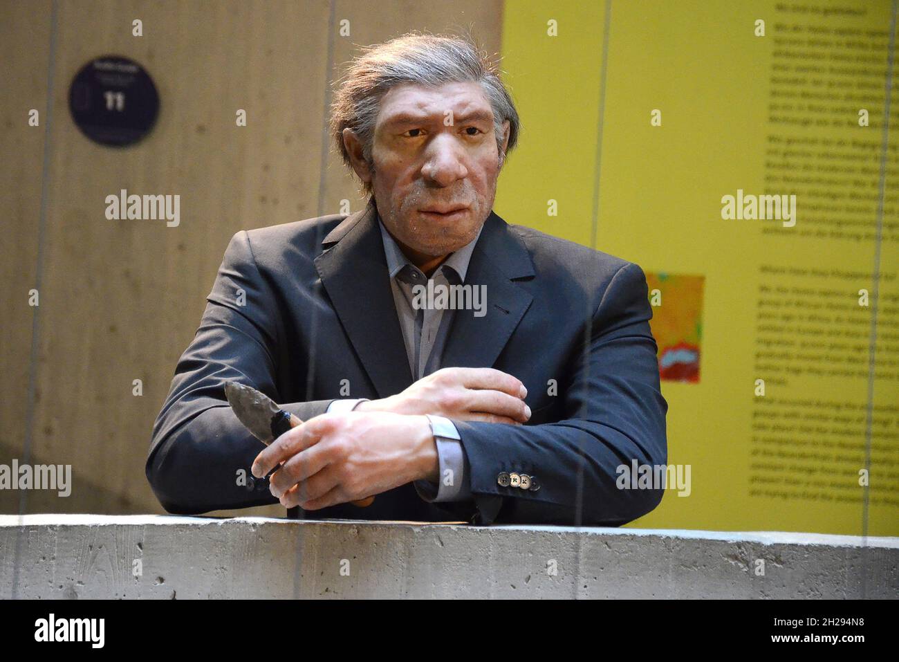 Das Neanderthal Museum ist ein Museum im Neandertal bei Mettmann ...