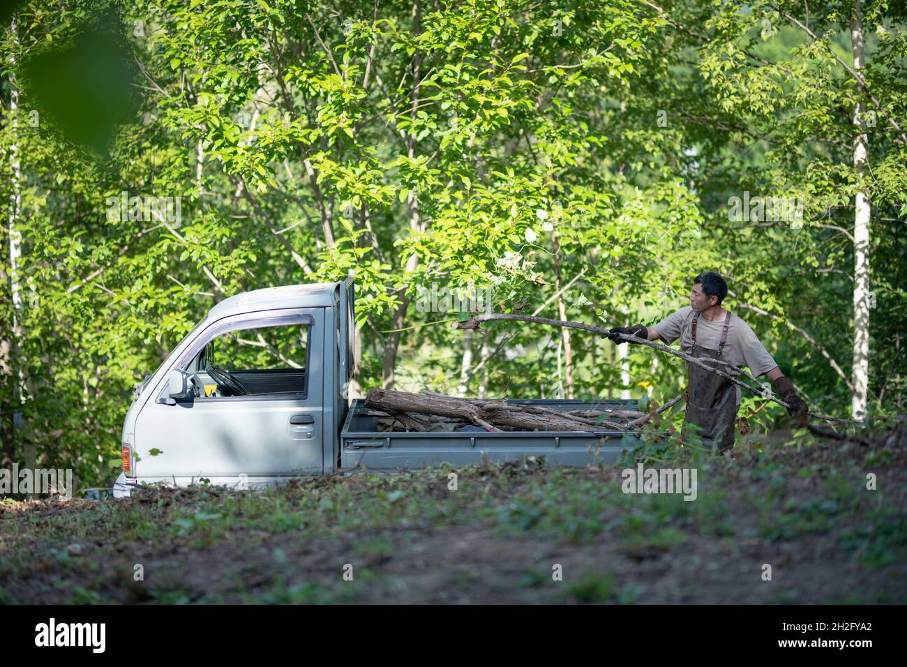Protokolle sammeln -Fotos und -Bildmaterial in hoher Auflösung – Alamy