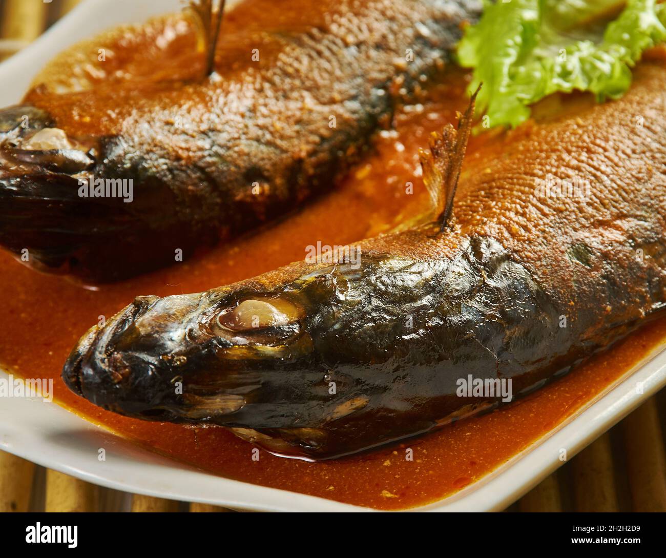 Salmo ischchan -Fotos und -Bildmaterial in hoher Auflösung – Alamy