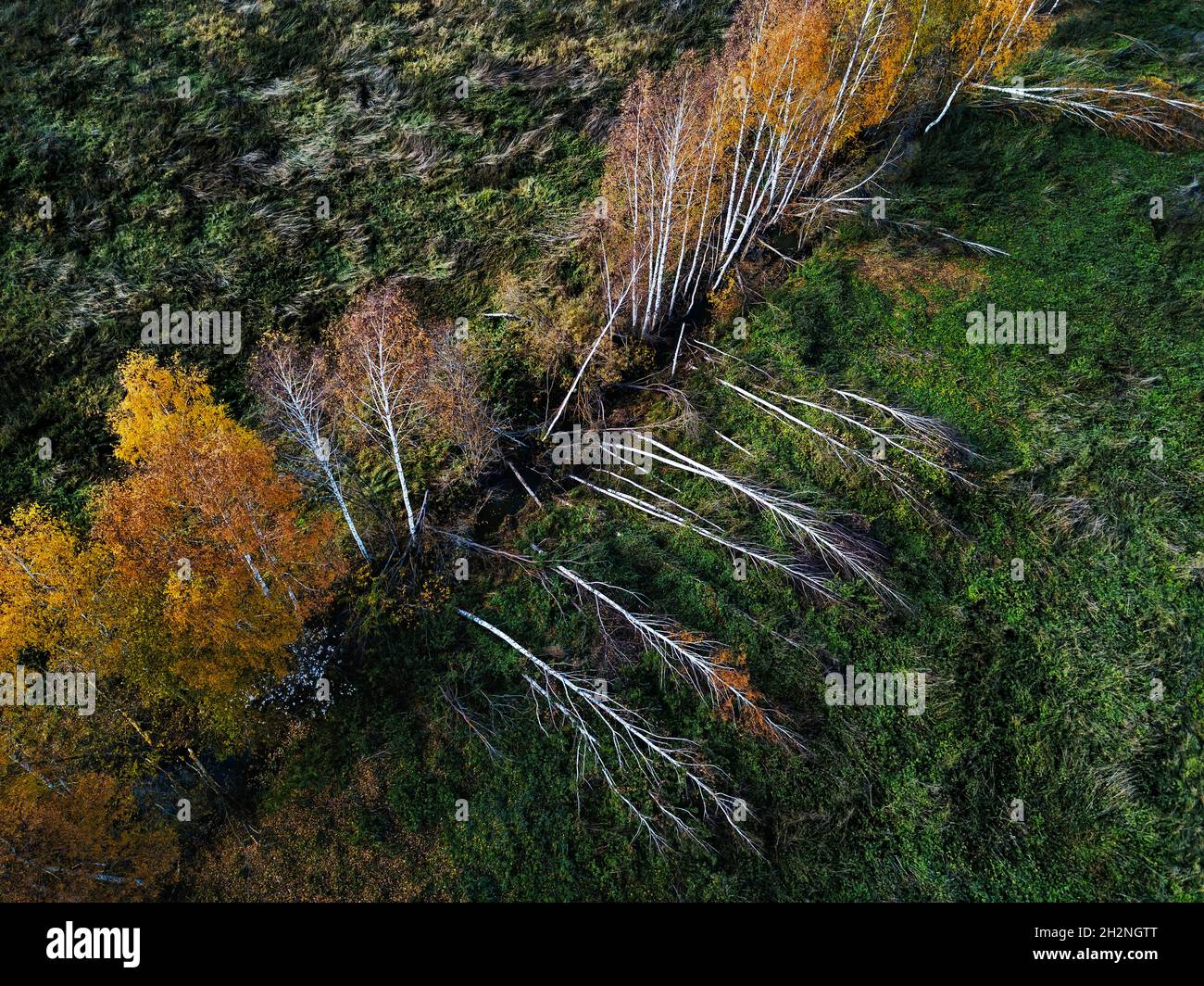 Damaged field -Fotos und -Bildmaterial in hoher Auflösung – Alamy
