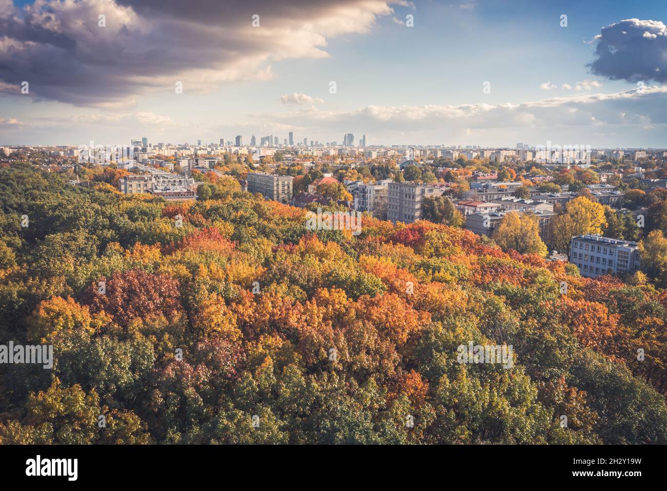 Warschauer wald -Fotos und -Bildmaterial in hoher Auflösung – Alamy