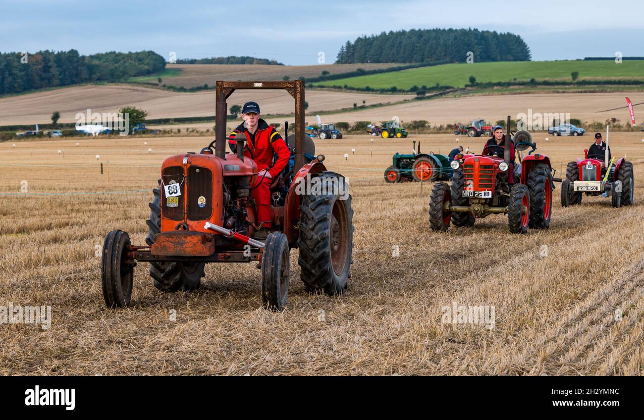 Massey ferguson vintage -Fotos und -Bildmaterial in hoher Auflösung – Alamy