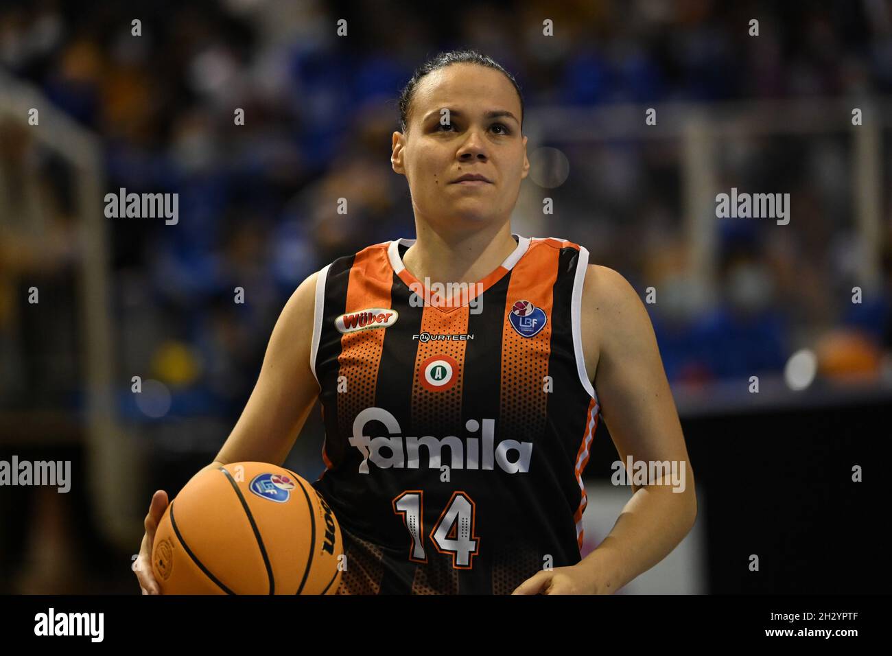 Crippa martina -Fotos und -Bildmaterial in hoher Auflösung – Alamy