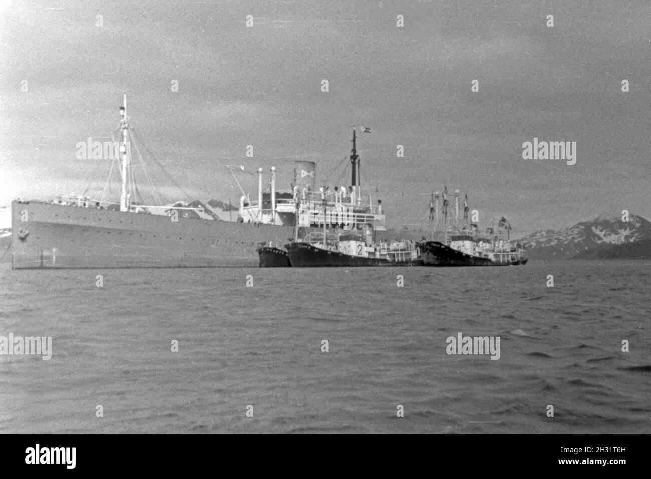 Das fabrikschiff "Jan Wellem" der deutschen Walfangflotte mit ...