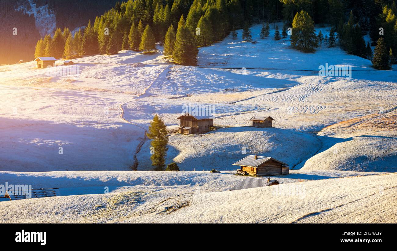 Seiser Alm oder Seiser Alm mit Langkofel, Langkofel Berg im Hintergrund ...