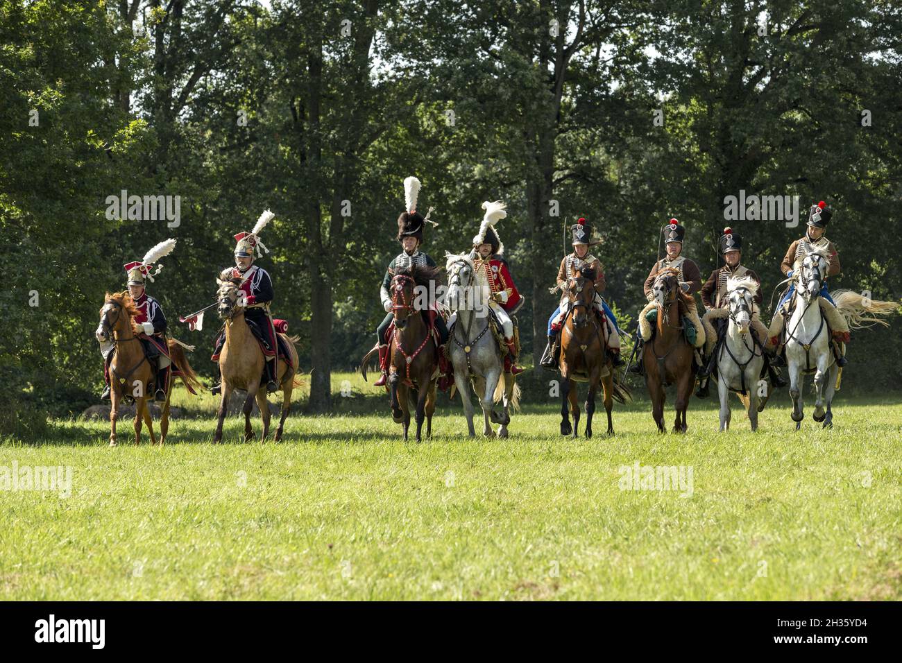 Grande armee napoleon bonaparte -Fotos und -Bildmaterial in hoher ...