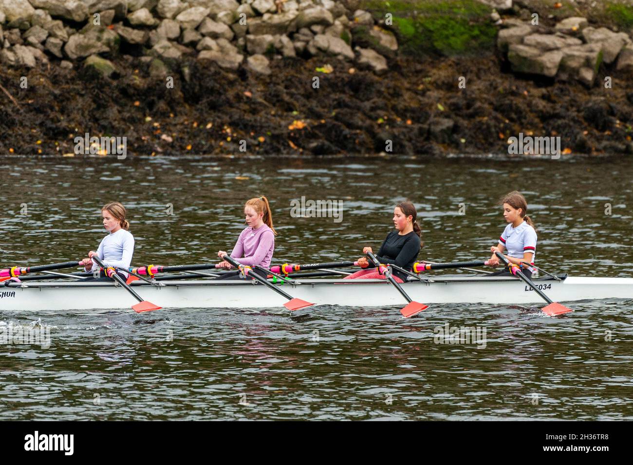 Irland ruderclub Stockfotos und -bilder Kaufen - Alamy