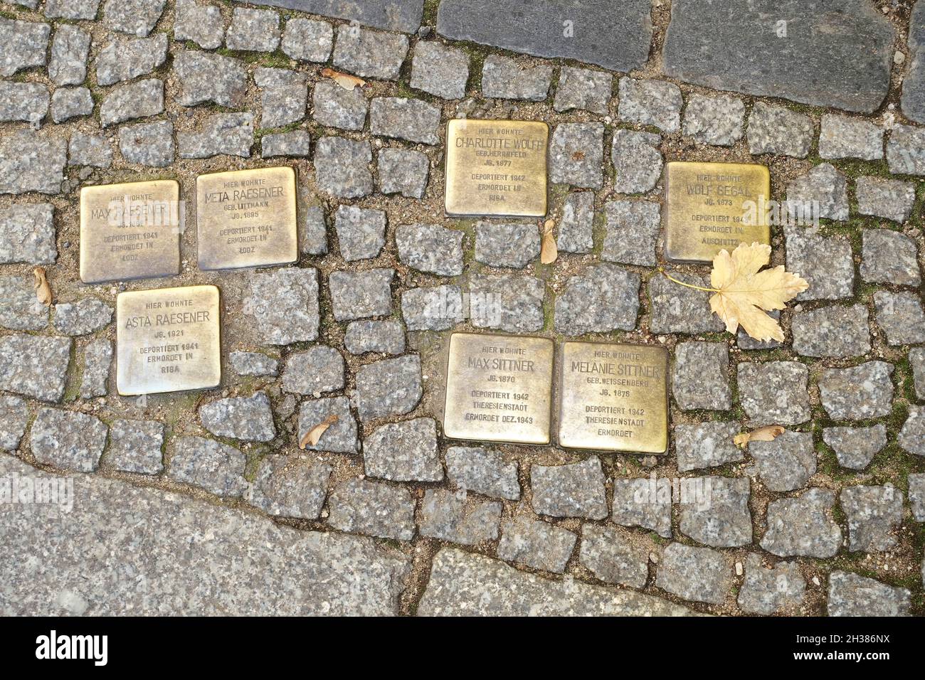 Stolpersteine ??in berlin -Fotos und -Bildmaterial in hoher Auflösung – Alamy