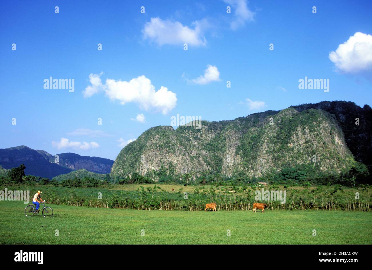 Pinar del rio region -Fotos und -Bildmaterial in hoher Auflösung – Alamy