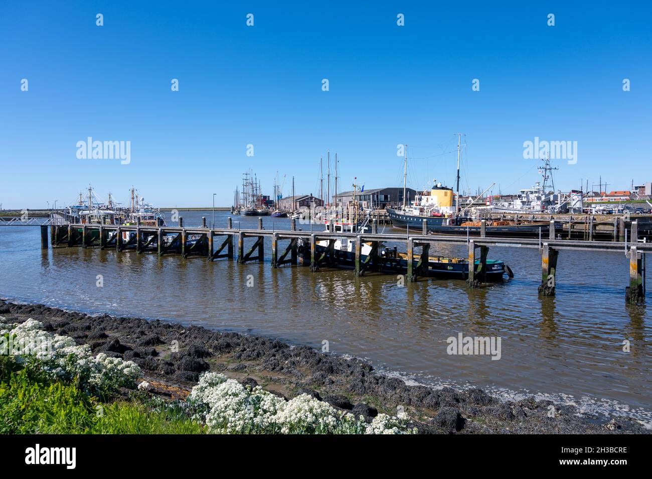 Wandern am Strand von Harlingen Fischerdorf am Wattenmeer, Friesland ...
