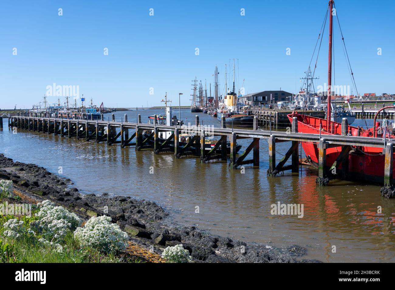 Wandern am Strand von Harlingen Fischerdorf am Wattenmeer, Friesland ...