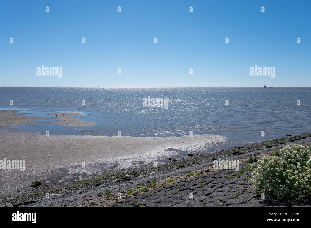 Wandern am Strand von Harlingen Fischerdorf am Wattenmeer, Friesland ...