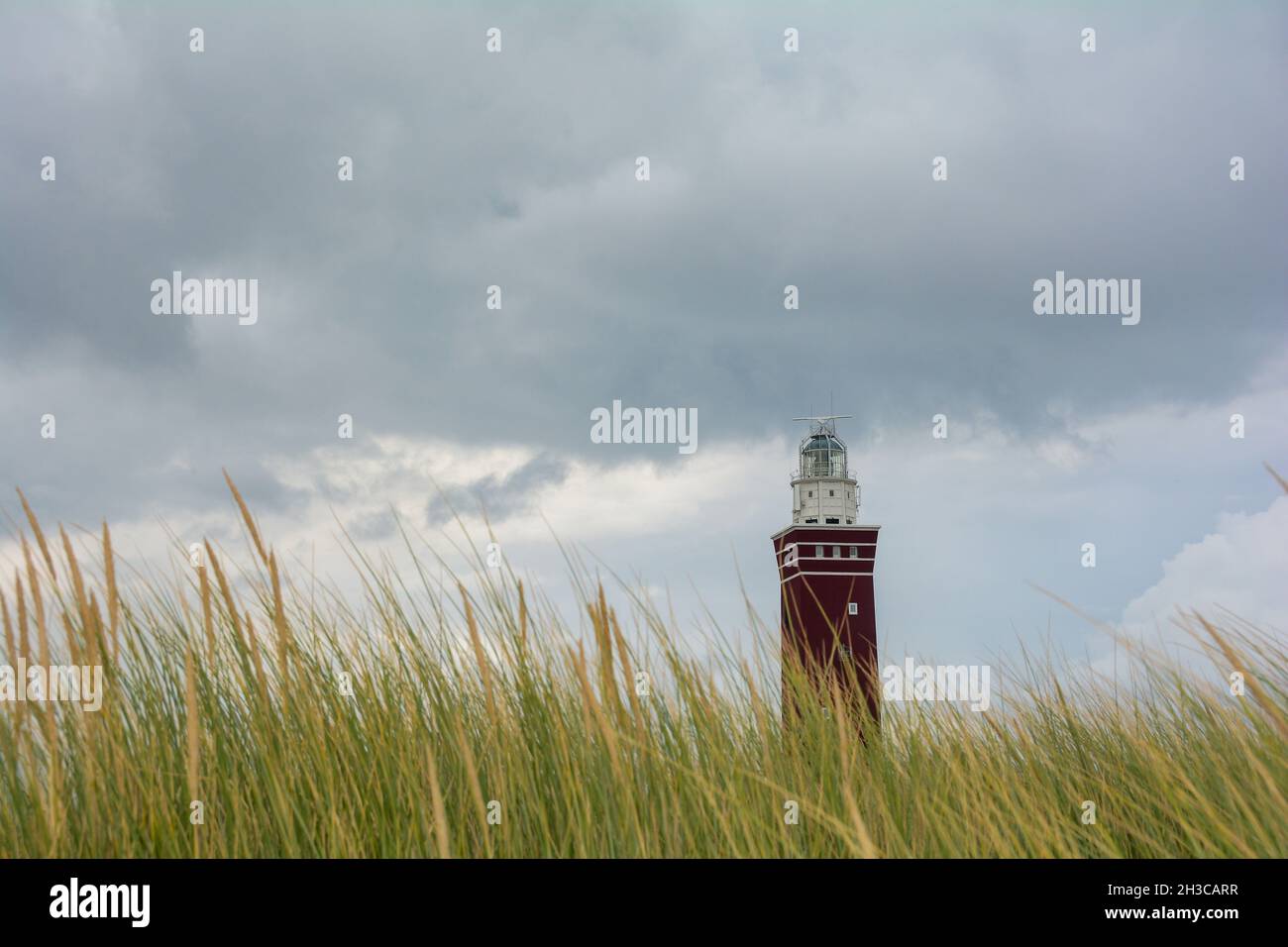 Strandgras im Vordergrund und der 56 Meter hohe eckige 'West Head ...