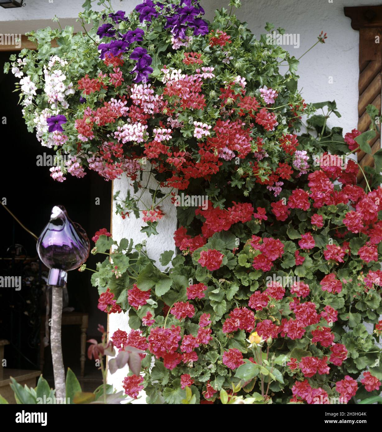 Blumen auf terrasse -Fotos und -Bildmaterial in hoher Auflösung – Alamy
