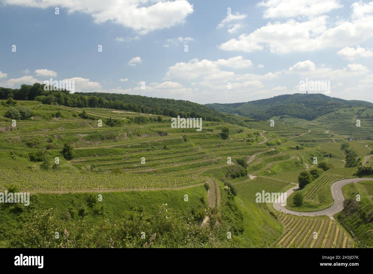 Kaiserstuhl weinberge oberbergen -Fotos und -Bildmaterial in hoher ...