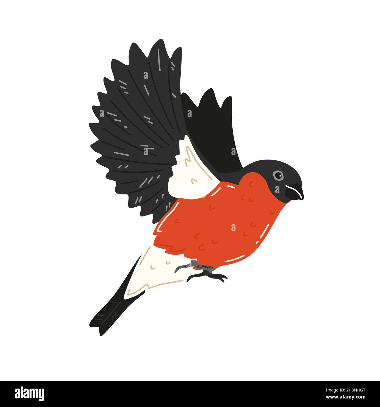 Gemeiner gimpel oder eurasischer gimpel Stock-Vektorgrafiken kaufen - Alamy