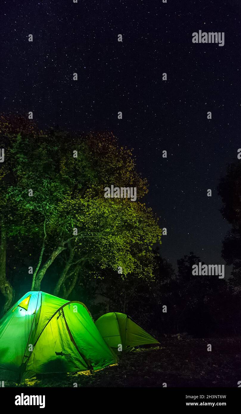 Touristische Zelte In Der Nacht Im Wald Die Lichter Sind In Den Zelten