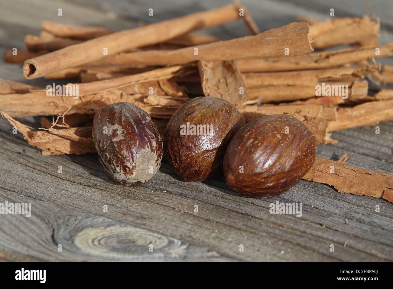 Muskatnuss myristica fragrans -Fotos und -Bildmaterial in hoher ...