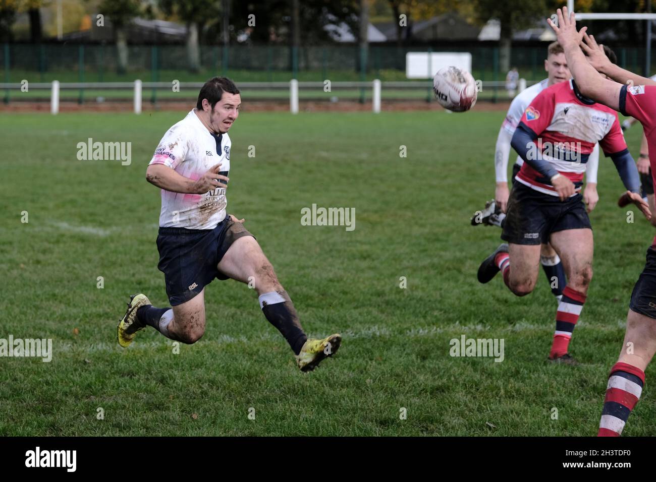 Selkirk rugby -Fotos und -Bildmaterial in hoher Auflösung – Alamy