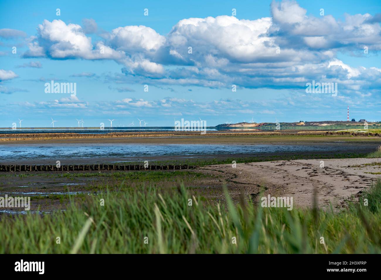 Salzwiesen im wattenmeer nationalpark -Fotos und -Bildmaterial in hoher ...