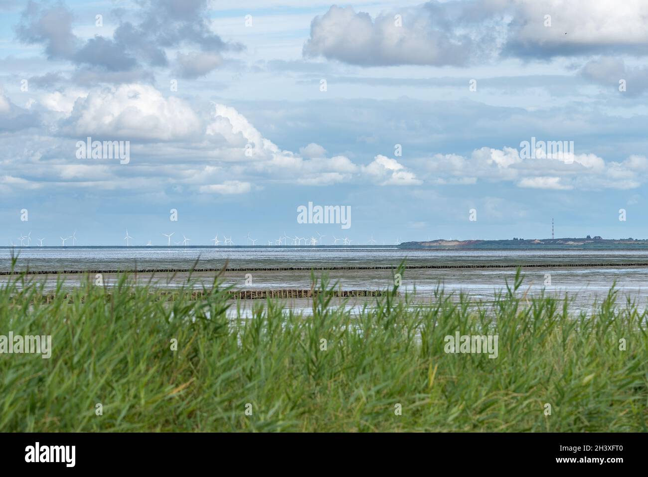 Salzwiesen im wattenmeer nationalpark Stockfotos und -bilder Kaufen - Alamy