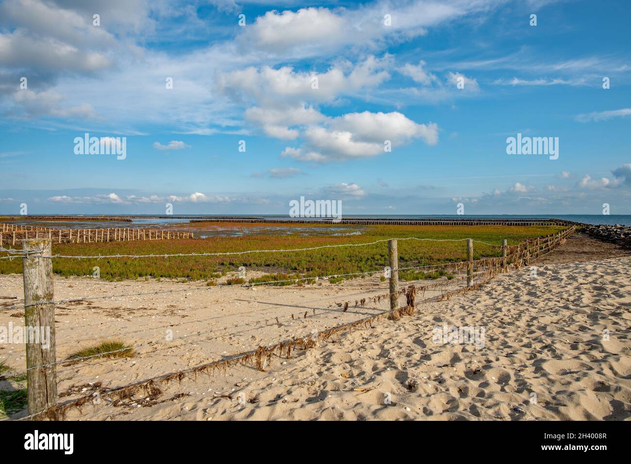 Salzwiesen im wattenmeer nationalpark Stockfotos und -bilder Kaufen - Alamy