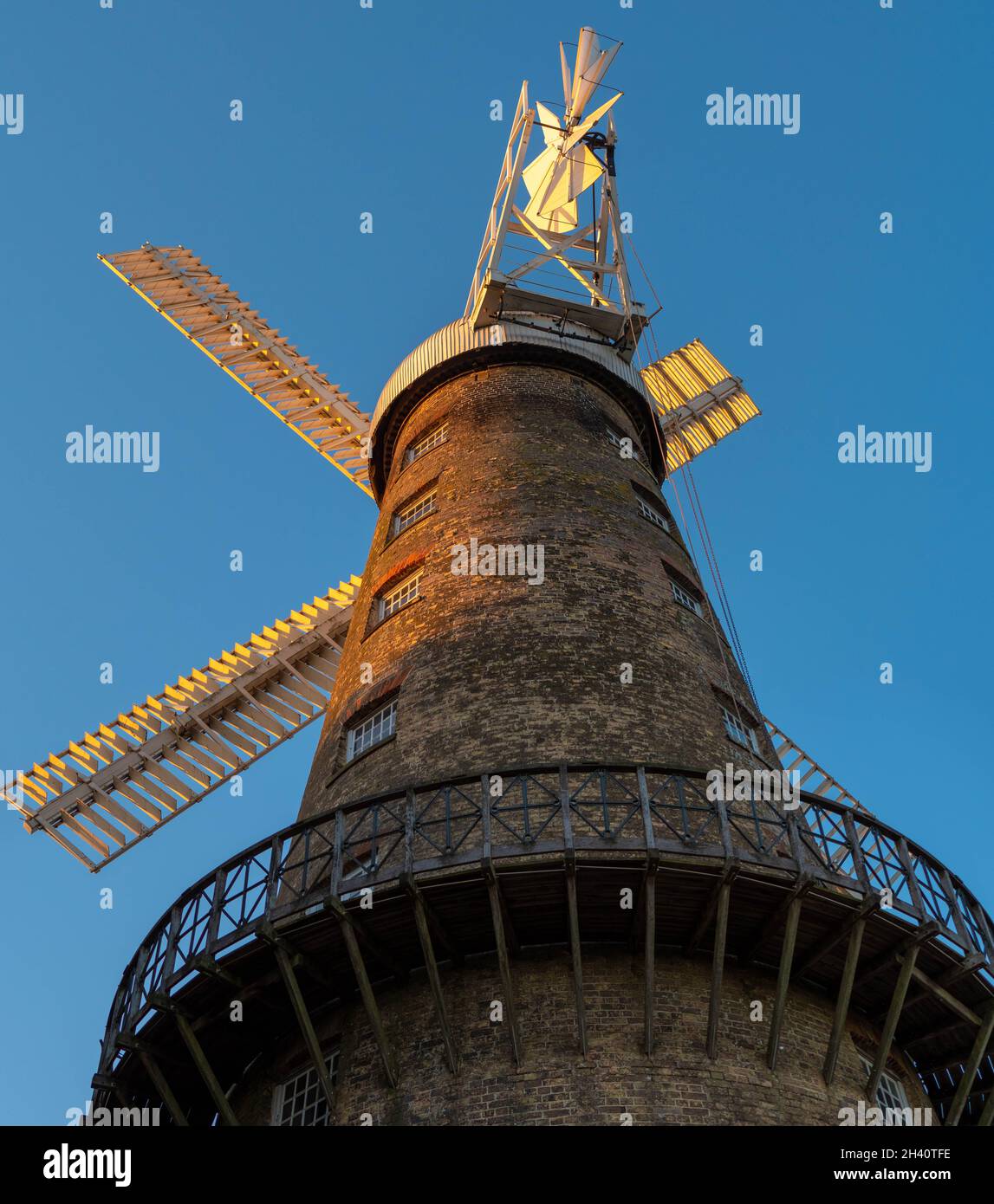 Spalding gliederung -Fotos und -Bildmaterial in hoher Auflösung – Alamy
