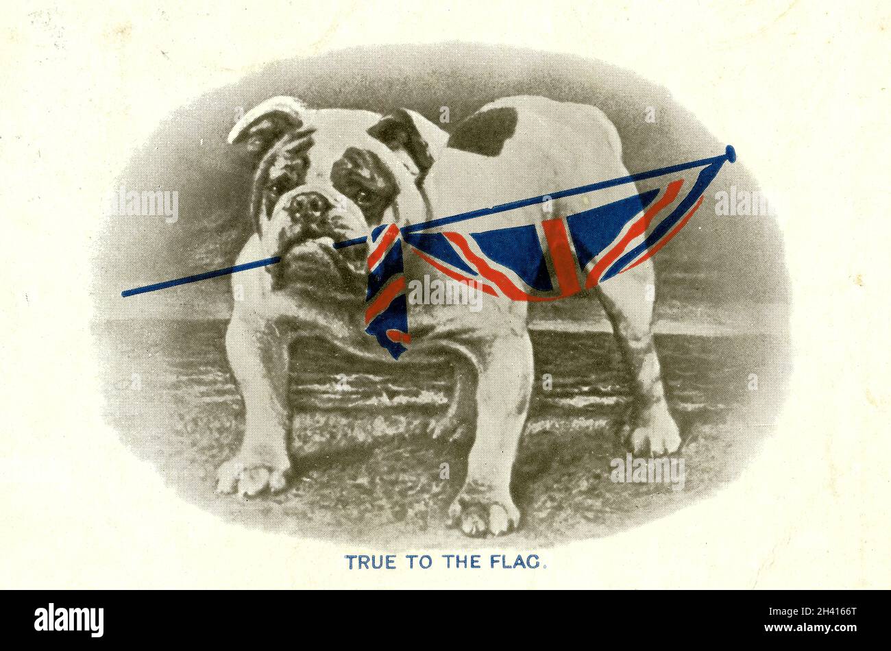 Glückwunschkarte flagge 1914 -Fotos und -Bildmaterial in hoher ...
