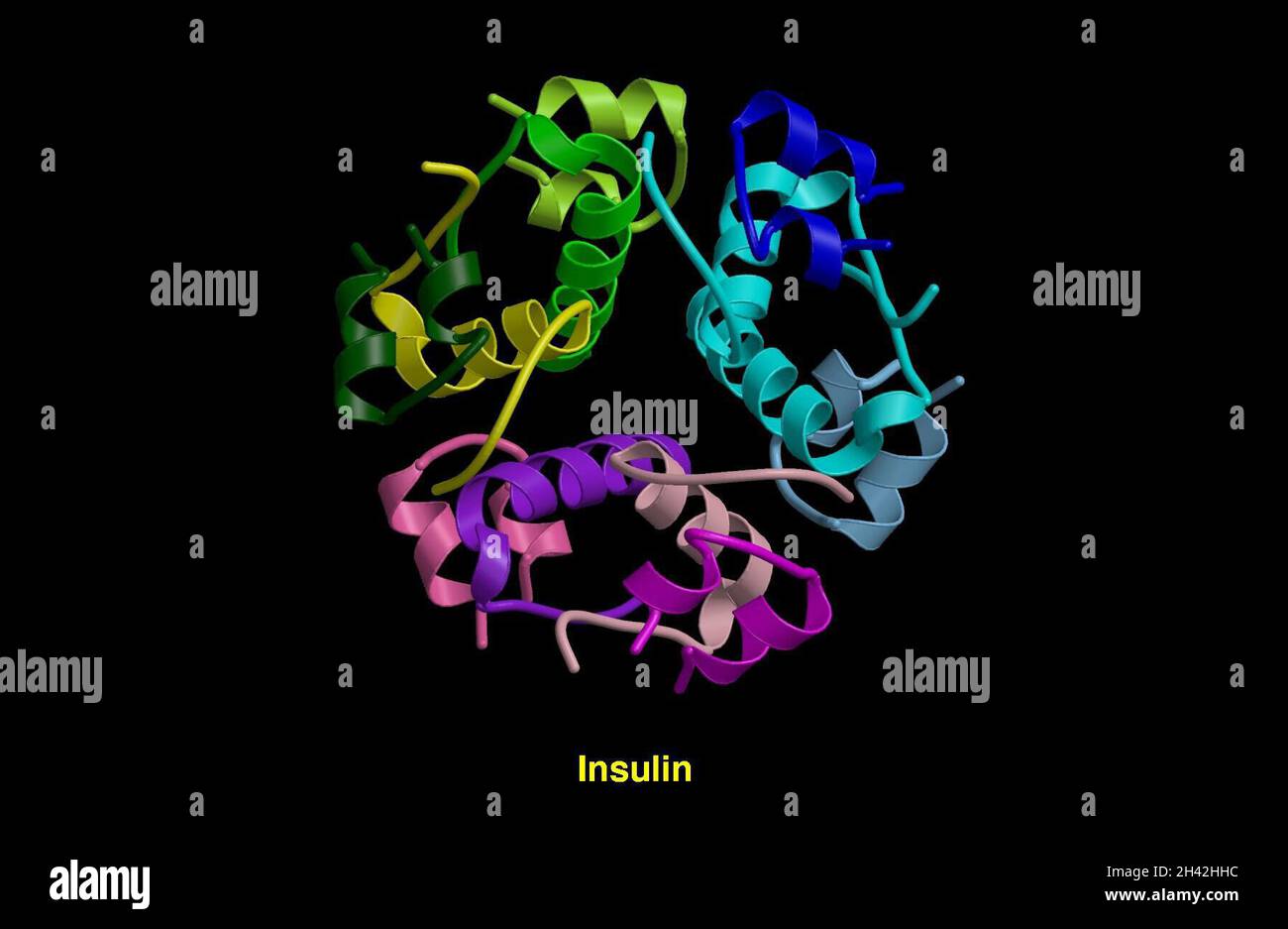 Insulin molecule -Fotos und -Bildmaterial in hoher Auflösung – Alamy