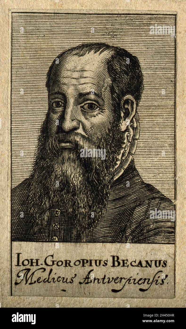 Jan van gorp -Fotos und -Bildmaterial in hoher Auflösung – Alamy