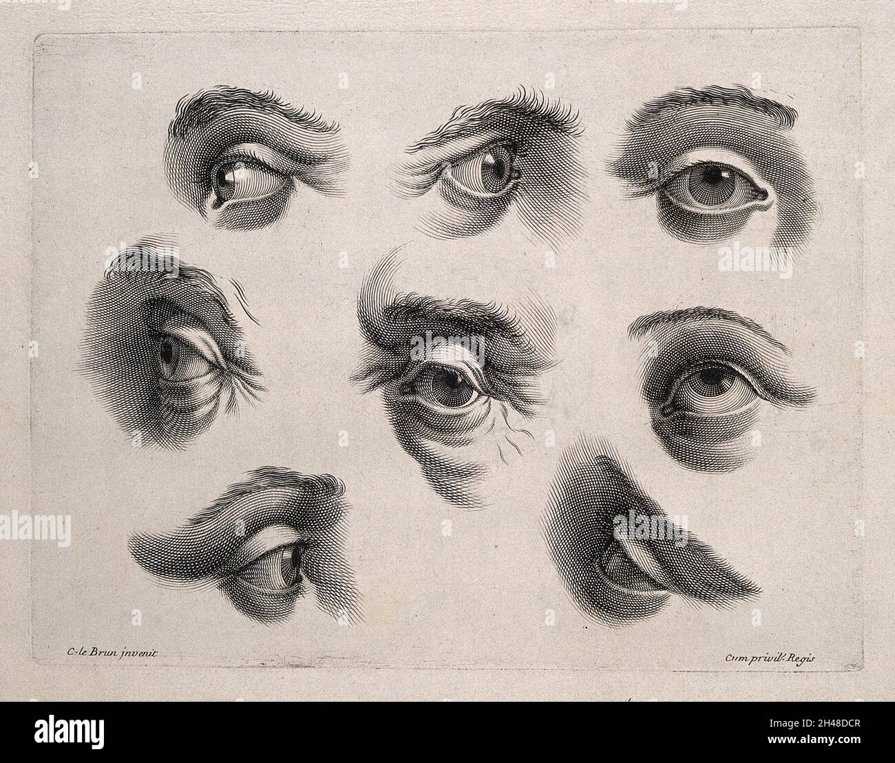 Eight eyes -Fotos und -Bildmaterial in hoher Auflösung – Alamy