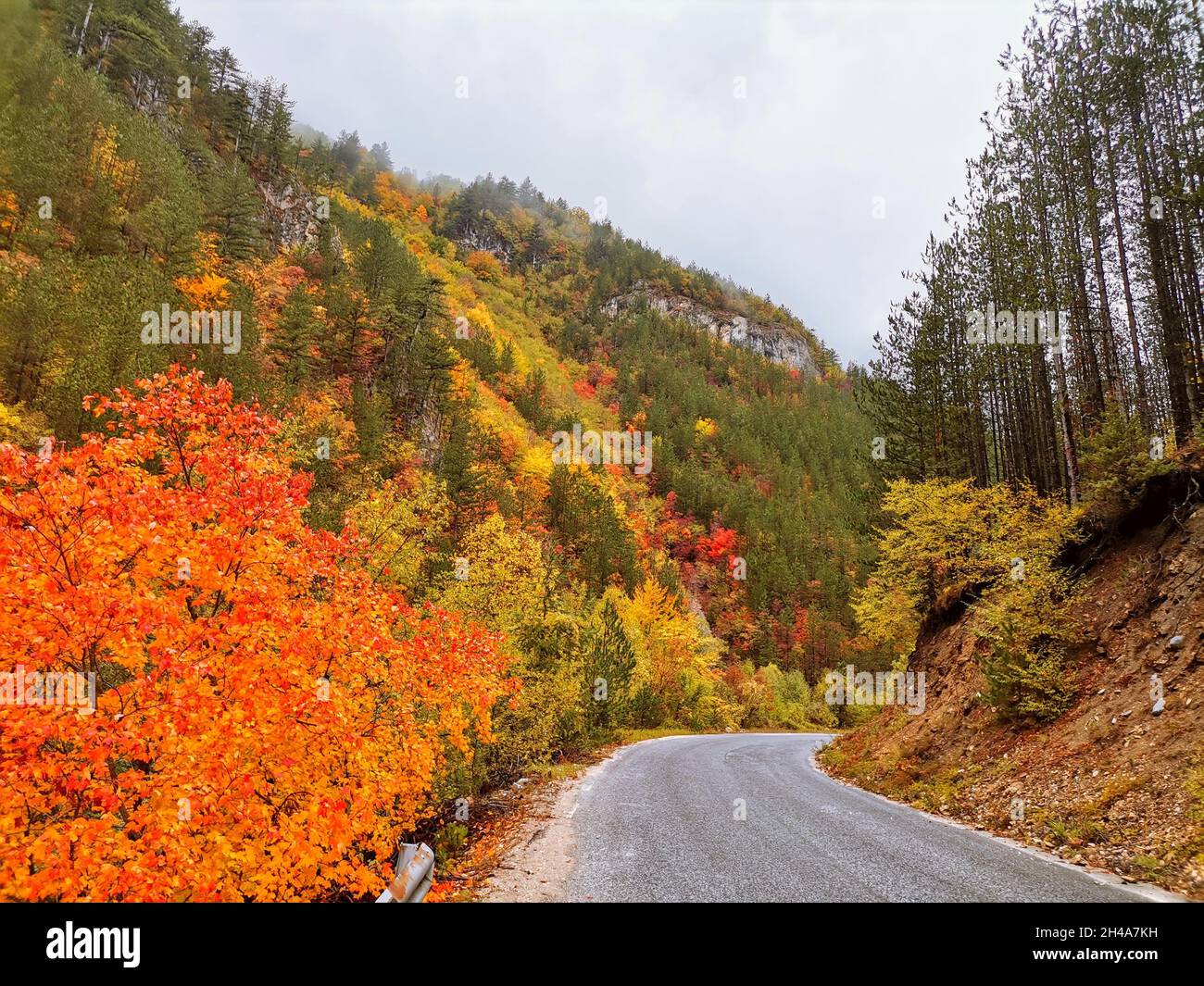 Rodopi berge -Fotos und -Bildmaterial in hoher Auflösung – Alamy