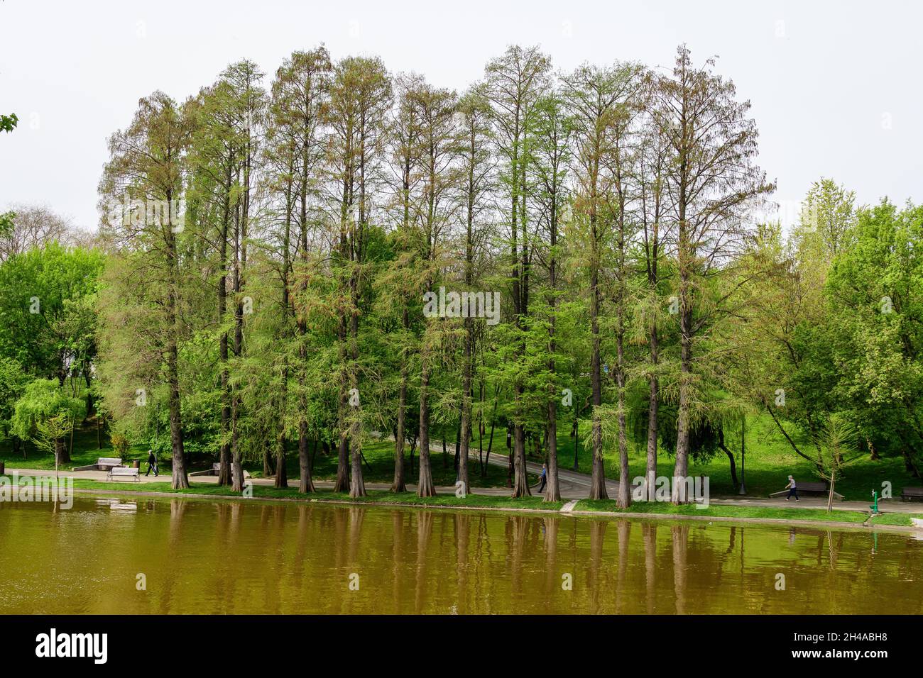 Parcul titan -Fotos und -Bildmaterial in hoher Auflösung – Alamy