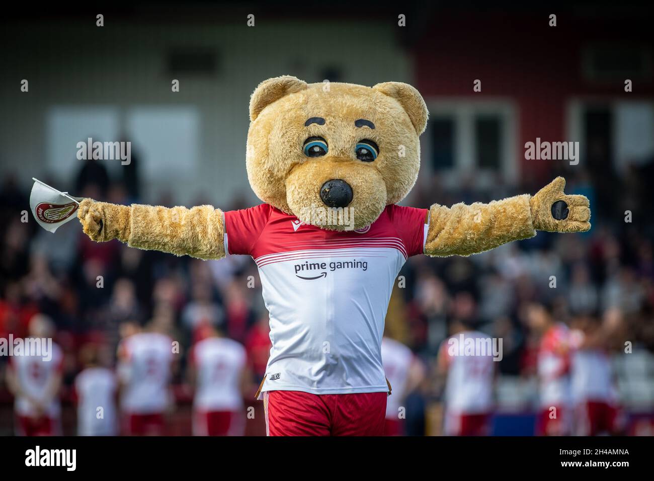 Stevenage maskottchen -Fotos und -Bildmaterial in hoher Auflösung – Alamy